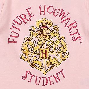 Harry Potter Infant Baby Girls Bodysuit Graphic T-Shirt Mesh Skirt and Leggings 4 Piece Layette Set 18 Months