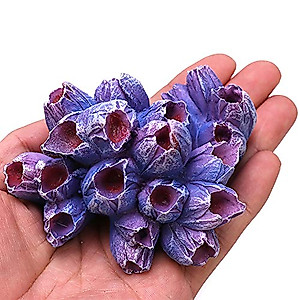 Danmu 1Pc of Polyresin Coral Ornaments, Aquarium Coral Decor for Fish Tank Aquarium Decoration 3 7/10" x 2 9/10" x 1 9/10" (Purple)