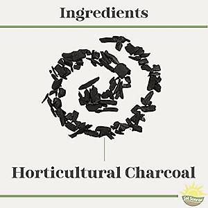 Horticultural Charcoal for Indoor Plants (4 Quarts), Hardwood Soil Amendment for Orchids, Terrariums, and Gardening