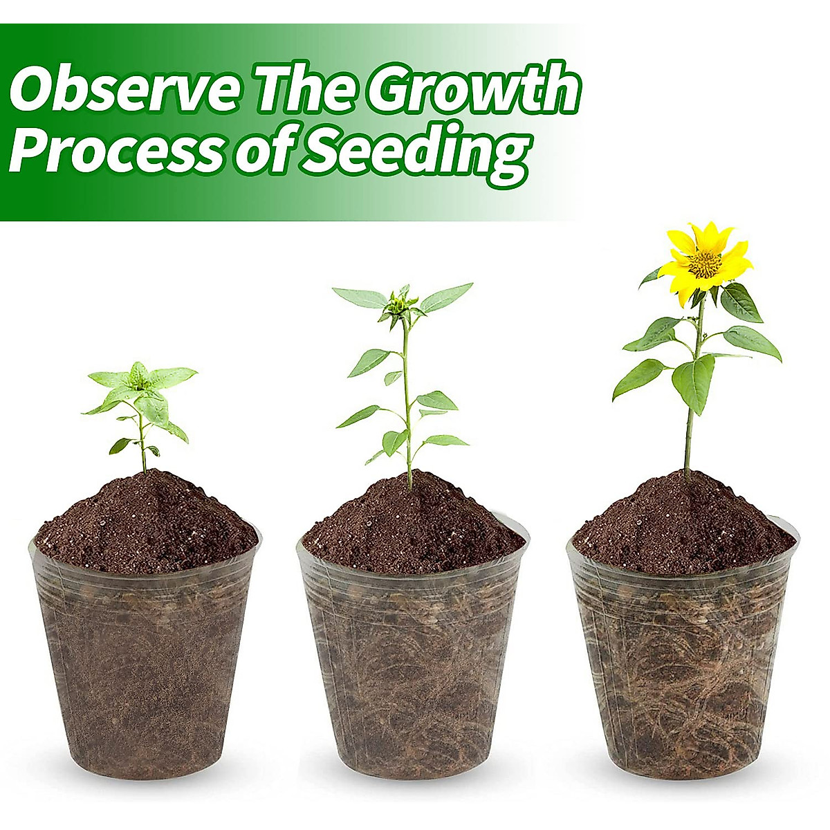 Plastic Nursery Pots - 36 Pieces 7 / 5 / 4 Inch Soft Transparent Plastic Gardening Pot Planting with Drainage Hole for Seedling Succulent Vegetable Flowers Cuttings