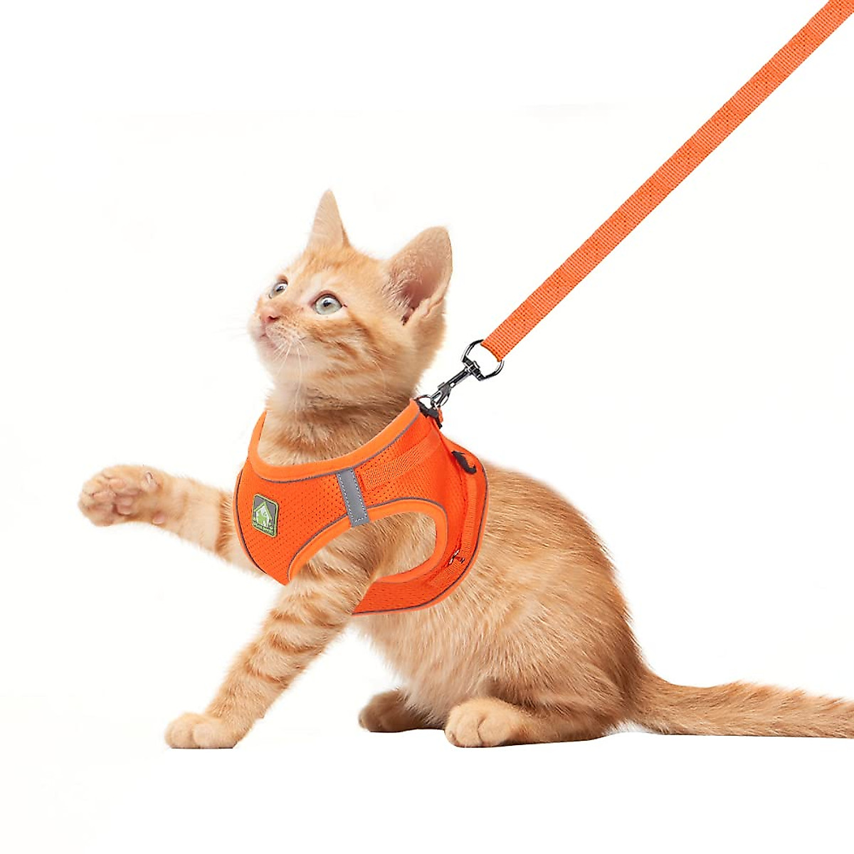 FEimaX Dog Harness and Leash Set, No Pull Breathable Soft Mesh Puppy Vest Harness Reflective Adjustable Pet Harnesses for Small Medium Dogs and Cats - Outdoor Easy Control for Walking