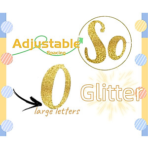 Funny Birthday Banner Glitter Happy 50th Birthday Party Decoration Supplies 50th Wedding Anniversary Decorations Hanging Garland Golden Triangle Flags Pennant Bunting