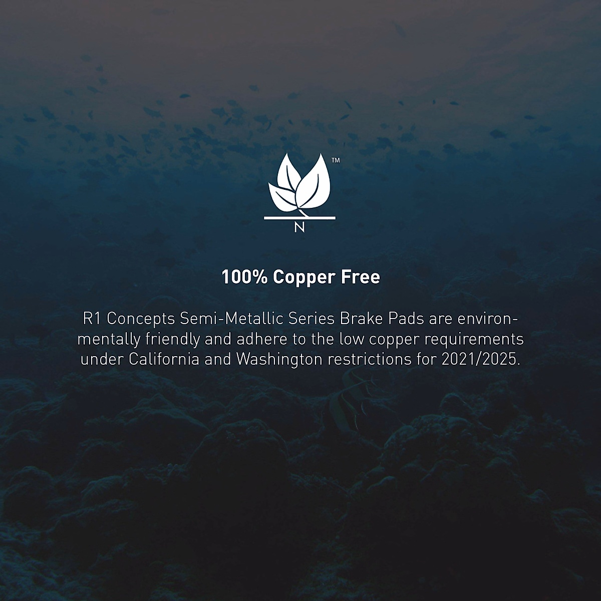 R1 Concepts Front or Rear Semi-Metallic Series Brake Pads 2311-0810-00| Fits 1990-1992 Ferrari F40, 1995-1997 Ferrari F50, 2000-2006 Jaguar XKR, 2001-2005 Aston Martin Vanquish, 2002-2003 Jaguar XJR