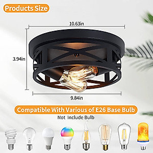 ZHU YAN 2 Pack Black Flush Mount Ceiling Light,Industrial Farmhouse Metal Cage Black Light Fixtures Ceiling Mount for Kitchen Entryway Hallway E26 Base (10.63in)
