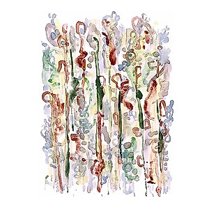 The Reverse Coloring Book™: The Book Has the Colors, You Draw the Lines!