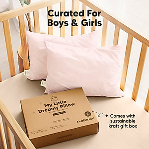 2-Pack Toddler Pillow - Soft Organic Cotton Toddler Pillows for Sleeping - 13X18 Small Pillow for Kids - Kids Pillows for Sleeping - Kids Pillow for Travel, School, Nap, Age 2 to 5 (Daisy)