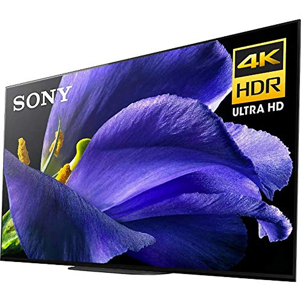 Sony XBR-65A9G 65-inch TV: MASTER Series BRAVIA OLED 4K Ultra HD Smart TV with HDR and Alexa Compatibility - 2019 Model