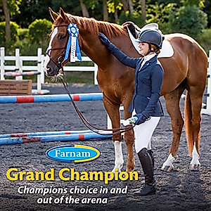 Farnam Grand Champion Fly Repellent for Horses, Plus Coat Conditioner for Show Ring Shine, 15-Ounce Non-Aerosol Spray Bottle (100528258)