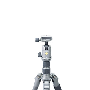 Vanguard VEO2GO235CB Carbon Fiber Travel Tripod with Ball Head for Sony, Nikon, Canon, Fujifilm Mirrorless, Compact System Camera (CSC), DSLR Grey