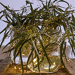 Solar Powered String Lights, 100 LED Copper Wire Lights, Waterproof Starry String Lights, Indoor/Outdoor Solar Decoration Lights For Gardens, Patios, Homes, Parties: 20 ft, Warm White