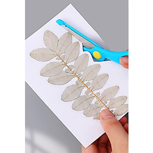 Clear Contact Paper Roll 17.7'' x 118'' Clear Glossy Self-Adhesive Film Cover Removable Protective Film Transparent Waterproof Liners Drawers Shelves Kitchen Cabinets Desks Fridge Roll