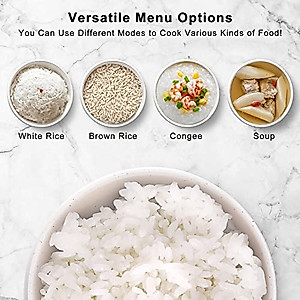 1.6L Mini Rice Cooker, 5 Cups Uncooked Travel Rice Cooker, Suitable for 1-2 people, Multi-cooker for White Rice, Brown Rice, Congee and Soup