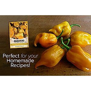 Yellow Habanero Pepper Seeds for Planting 100 Heirloom Non-GMO Habanero Peppers Plant Seeds for Home Garden Vegetables Makes a Great Gift for Gardeners by Gardeners Basics