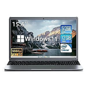 SGIN 15.6 Inch 12GB DDR4 512GB SSD Laptop Computer, Windows 11 Laptops with Intel Celeron N5095 Processor(Up to 2.9GHz), FHD 1920x1080 Display, WiFi, Bluetooth 4.2, Webcam, USB 3.0