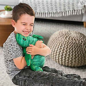 manimo Weighted Stuffed Frog for Kids & Adults – Frog Toys Sensory Lap Pad - Stress Relief Weighted Frog Plush for Chest, Back & Legs - Perfect for Home, Schools, kindergardens, Daycares