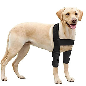 Dog Knee Brace for ACL - Luxating Patella Ligament Injury Hip Support and Recovery - Knee Braces for Dogs - Dog Elbow Protector（L）