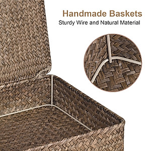 FOSSORH Set of 2 Flat Seagrass Storage Bins with Lid Wicker Storage Baskets for Organizing, Woven Shelf Organizer Bins Home Utility Organizer Box for Home & Office Supplies(Coffee)