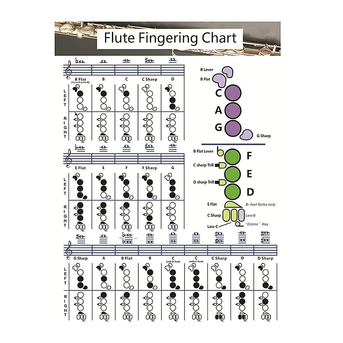 SYCOOVEN Flute Chord Chart, Portable Durable Flute Fingering Chart, White Chord Chart for Flute Fingering Practice, Chord Chart Beginner Student for Teaching or Group Study, Flute Accessories