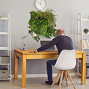 Living Walls Direct Wall Planter | Bustani 2x2 Vertical Garden | 4 Pot Living Wall Planter - Easy to Create Indoor Living Wall for Home/Office | Great Decor for Patios & Entryways | Made of Plastic