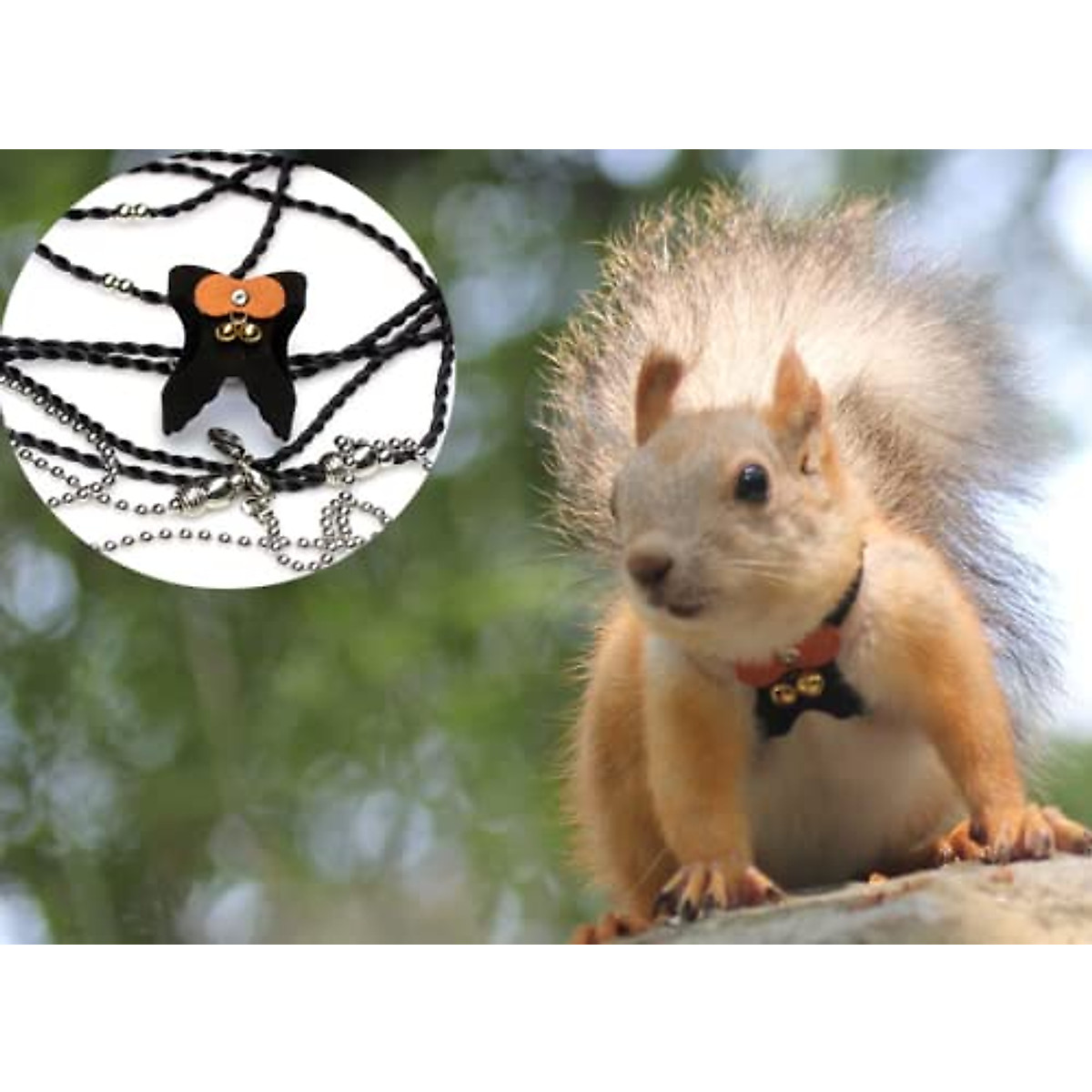Squirrel Traction Rope Strap Anti-Biting Chain Rope, Adjustable Vest, Small Animal Walking Harness with Lead Leash with Free Collar for Hamster Gerbil Rat Mouse Ferret Chinchilla (Black with Blue)