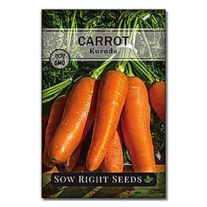 Sow Right Seeds - Kuroda Carrot Seed for Planting - Non-GMO Heirloom Packet with Instructions to Plant a Home Vegetable Garden, Great Gardening Gift (1)