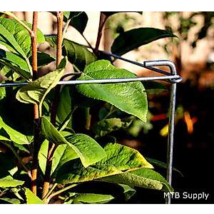 Galvanized Square Folding Tomato Cage Plant Support Stake Tower 12 inch by 46 inch, Pack of 2 Sets