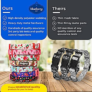 Blueberry Pet 7 Patterns Spring Scent Inspired Floral Rose Print Turquoise Adjustable Dog Collar, X-Small, Neck 8"-11"