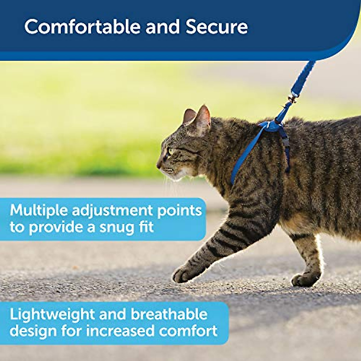 PetSafe Come With Me Kitty Harness and Bungee Leash, Harness for Cats, Large, Royal Blue/Navy