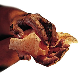 Permatex 25050 Fast Orange Hand Cleaner Wipe - 25 Count