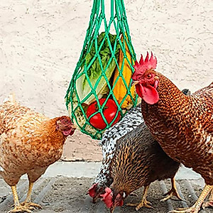 Camidy 4 Pack Chicken Feeding String Bag, Hanging Vegetable Cabbage Feeding Net Bags Snack Treat Feeding Holder Bag with Hook for Chickens Goose Duck Large Birds
