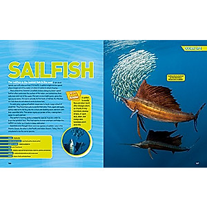 Ultimate Oceanpedia: The Most Complete Ocean Reference Ever (National Geographic Kids)
