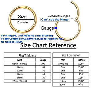 OreilleStar Nose Rings Septum Hoops Hypoallergenic 316L Surgical Steel Small Round Clicker Hinged Earrings Gold 16Gauge 6MM for Helix Cartilage Daith Snug Tragus Lobe