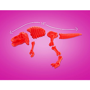 Top Race 3 Large Dinosaur Sand Molds, Fossil Skeleton Beach Toy Set - Perfect for Dinosaur Bones for Sandbox Play.
