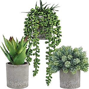 Winlyn Set of 3 Mini Potted Succulents Artificial String of Pearls Aloe Hops Succulent Plants in Gray Pots for Gifts Table Shelves Windowsill Office Desk Indoor Greenery Decorations Wedding Favors