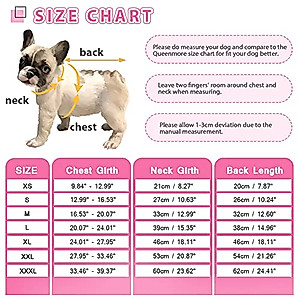 Queenmore Recovery Suit for Dogs Cats After Surgery,Dog Surgical Recovery Suit Onesie,Anti Licking Pet Female Spayed Neutered Puppy Surgical Clothes for Abdominal Wounds, Substitute E-Collar & Cone
