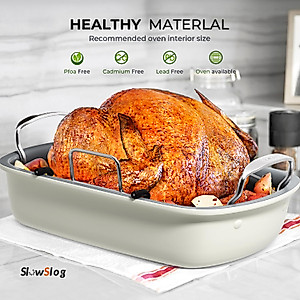 Slow Slog Roasting Pan, 17 Inch x 13 Inch Roaster with Removable Rack, Nonstick Roaster Pan for Roasting Turkey, Meat & Vegetables (Beige)