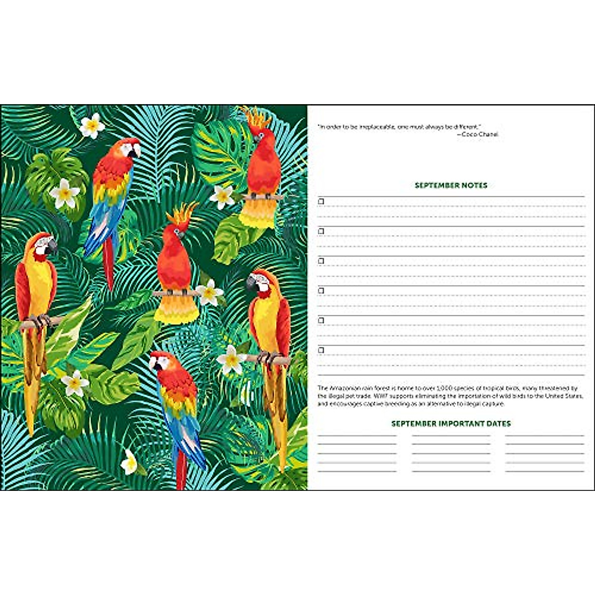 WWF Giraffes Monthly Planner 2021, 7.5" x 9.75" Spiral Bound