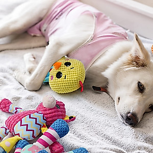 Nocciola Stuffed Crinkle Squeaky Dog Toys: 5 Pack Cute Animal Plush Dog Toys for Small Medium Size Dogs, Durable Puppy Chew Toys for Boredom and Calming Aid, Christmas Dog Toys for Small Dogs