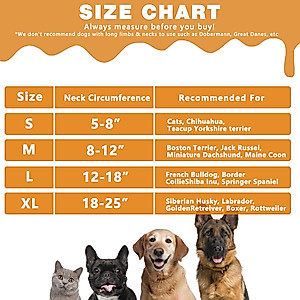 Dog Cone Collar, Gray,M-1