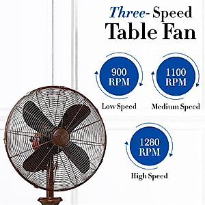 DecoBREEZE DBF0426 Pedestal Standing Floor Fan, 16-Inch, Raleigh