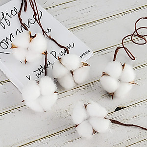 DomeStar 30PCS Cotton Stems, 15" Natural Dried Cotton 120 Cotton Balls Cotton Sprigs Cotton Blooms Floral Stems for Vase Fillers