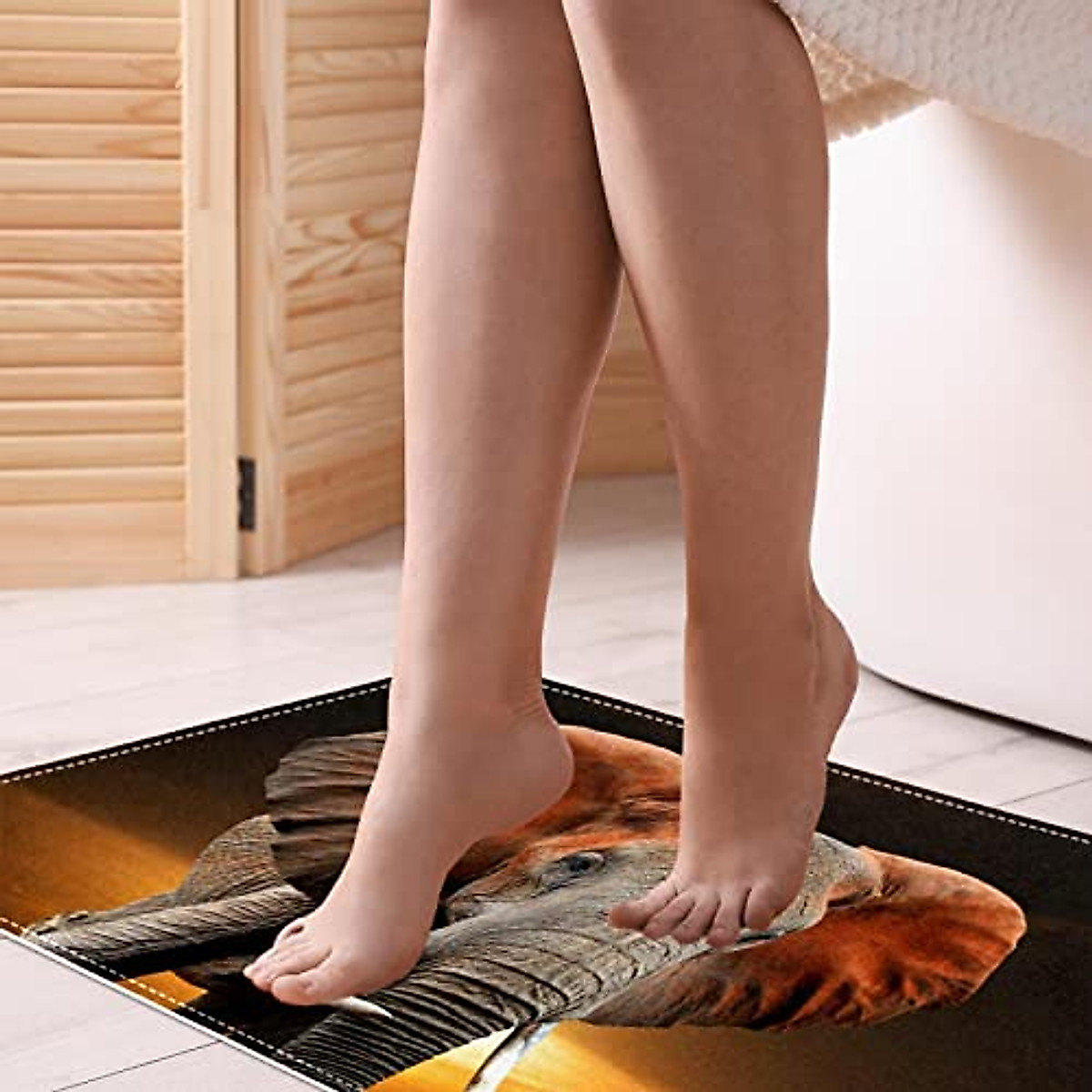 Kenya Old Large Elephant Sunset, Indoor Door Mat Durable Front Door Mats Entryway Rug Non-Slip Absorbent Area Rugs Resist Dirt Rugs for Room Decor, 24"x16"