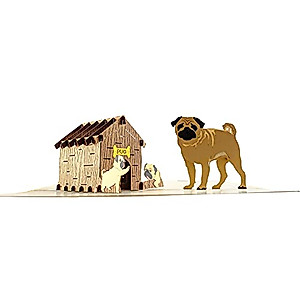iGifts And Cards Happy Pug Family 3D Pop Up Greeting Card – Birthday, Friendship, Thank You, Congratulations, Celebration, Super Cute, Dog, Puppies, Card For Dog Lovers