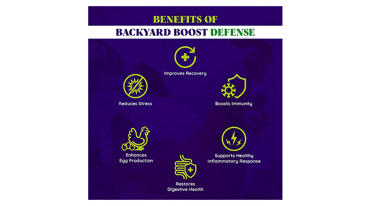 Boost Chicken Health with Backyard Boost Defense 8oz