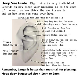 L7L7WM CZ Hinged Segment Nose Rings Hoop 316L Surgical Steel Cubic Zirconia Conch Daith Helix Tragus Body Piercing Jewelry Lip Rings Cartilage Earrings 20G 18G 16G Stainless Steel Septum Clicker Ring,