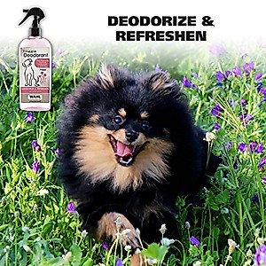Wahl Cornflower Aloe Pet Deodorant Spray for All Dogs & Cats – Clean Fresh Smell Refreshes & Deodorizes – 8 oz - Model 820009A