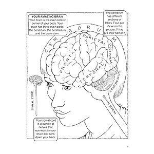 My First Book About the Brain (Dover Science For Kids Coloring Books)