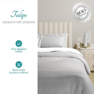 Carressa Linen 100% Egyptian Cotton Duvet Cover Queen Size - 800 Thread Count 3 PC Silver Duvet Cover Set, Extra Long Staple Egyptian Cotton Quilt Cover, Soft, Breathable with Hidden Zipper Closure