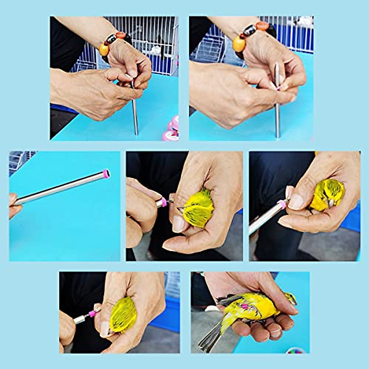 FOIBURELY 100 pcs Bird Ring Leg Bands for Gouldian Zebra Finch Canary Society Bird Foot Ring with 1 Installer(Diameter 3mm)
