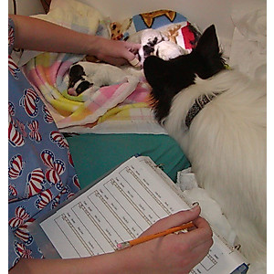 Puppy Express Whelping Kit for up to 12 for Puppies Dogs